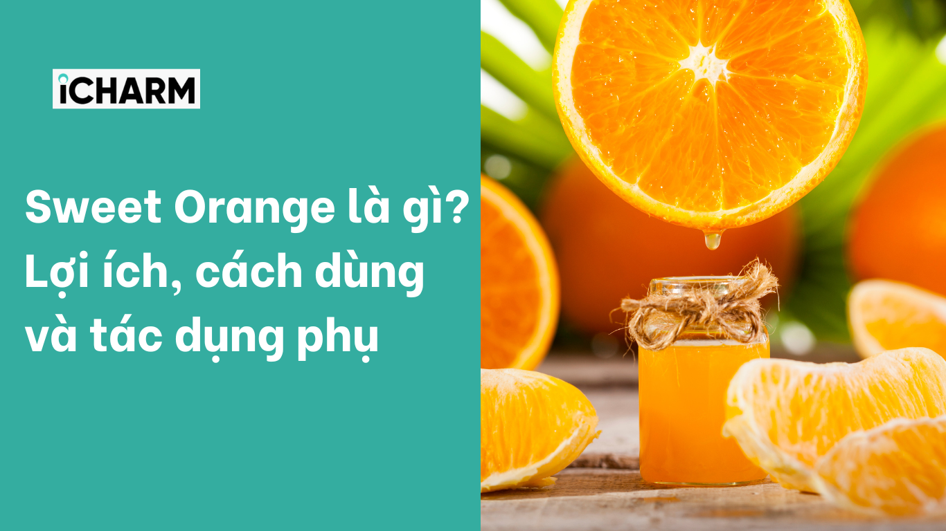 Sweet Orange là gì? 5+ Tác dụng của tinh dầu cam ngọt | iCHARM