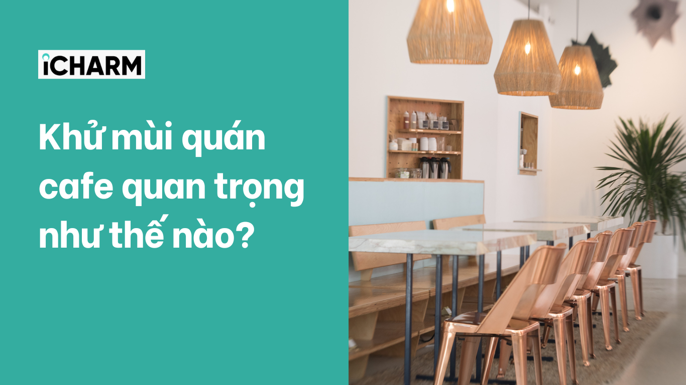 Khử mùi quán cafe quan trọng như thế nào? | iCHARM