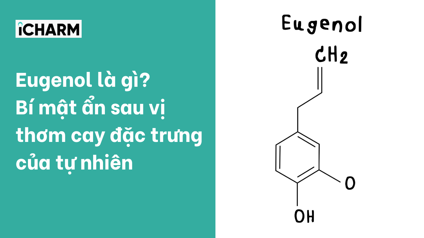 Eugenol là gì? Bí mật ẩn sau vị thơm cay đặc trưng của tự nhiên | iCHARM