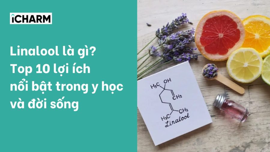 Linalool là gì? Top 10 lợi ích nổi bật trong y học và đời sống | iCHARM