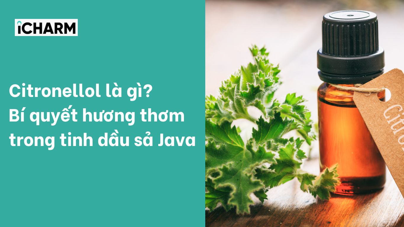 Citronellol là gì? Bí quyết hương thơm trong tinh dầu sả Java | iCHARM