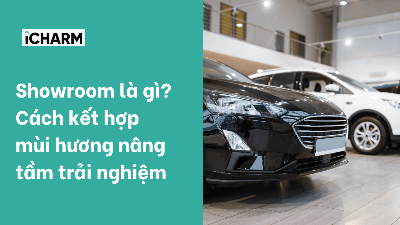 Showroom là gì? Cách kết hợp mùi hương nâng tầm trải nghiệm | iCHARM