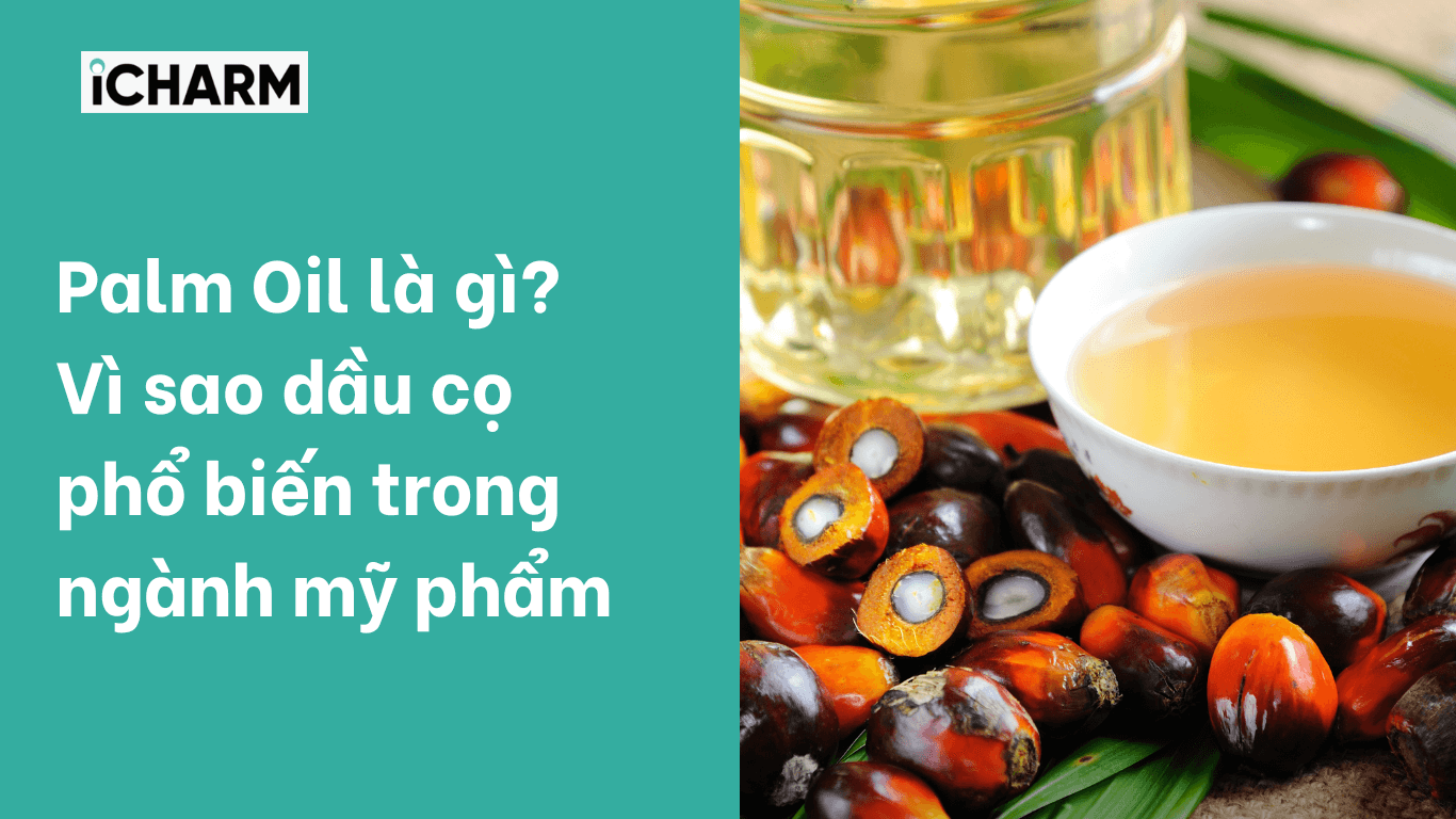 Palm Oil là gì? Vì sao dầu cọ phổ biến trong ngành mỹ phẩm | iCHARM